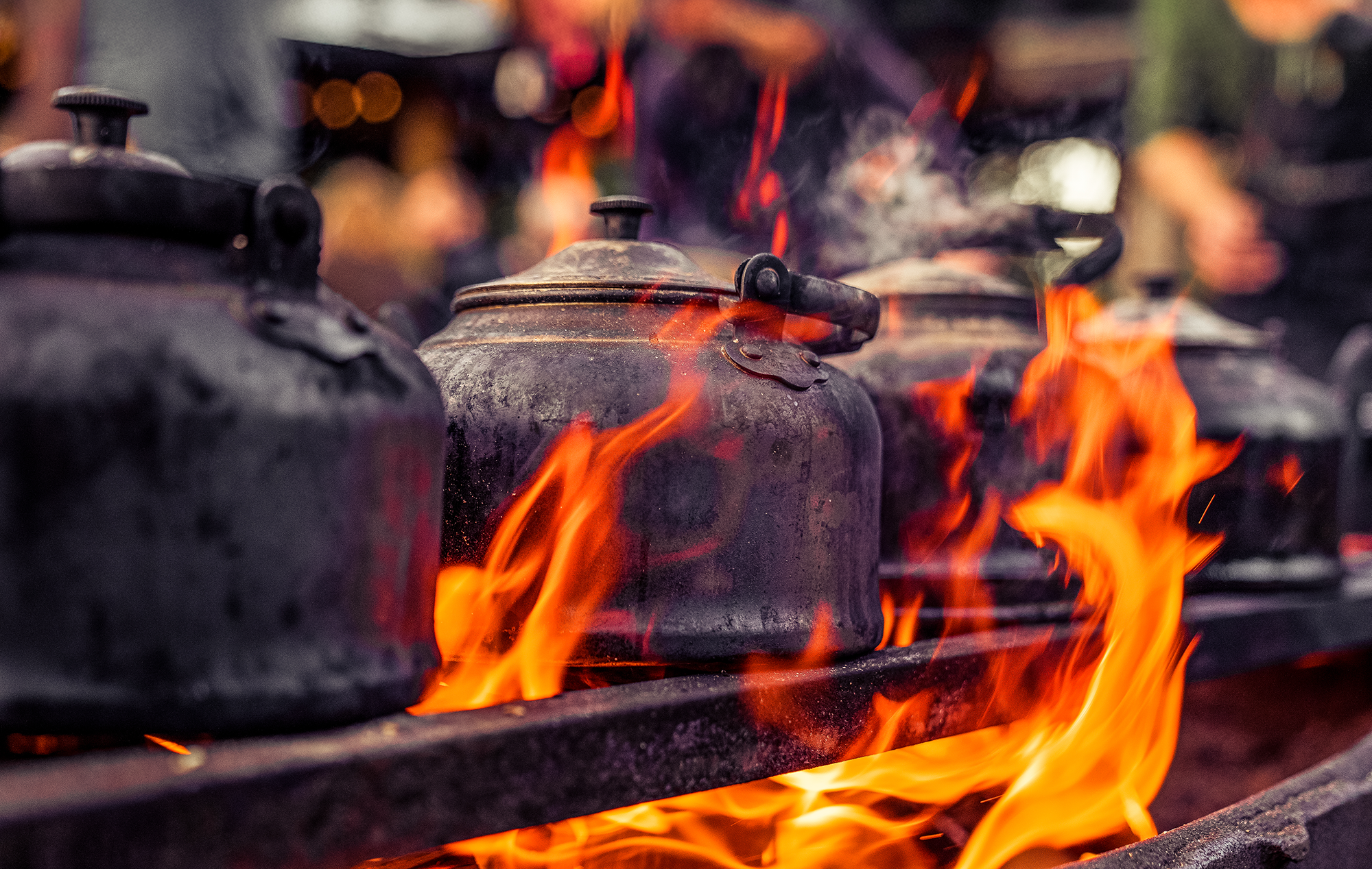 Brahetrolleborg Game Fair